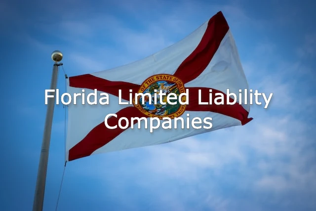 The Ins and Outs of Florida LLCs | Guala Law Firm